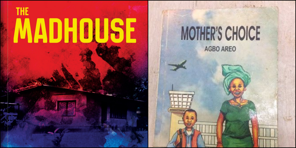 QUIZ: Only True Book Worms Will Ace This Quiz About Nigerian Novels ...