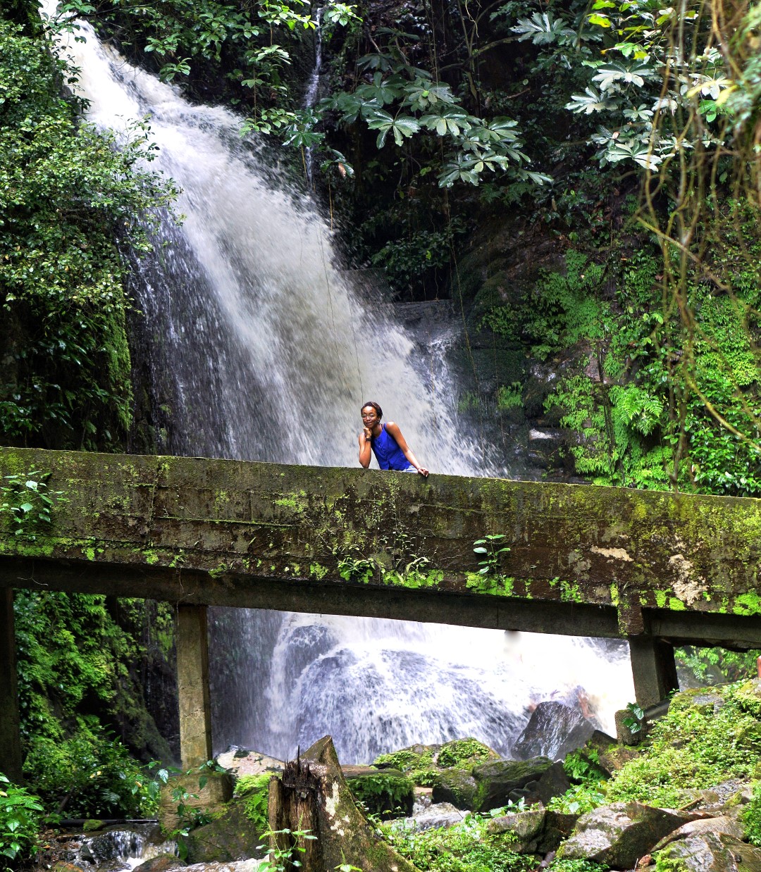 10 Pictures Of Erin-Ijesha Waterfalls That Will Blow Your Mind | Zikoko!