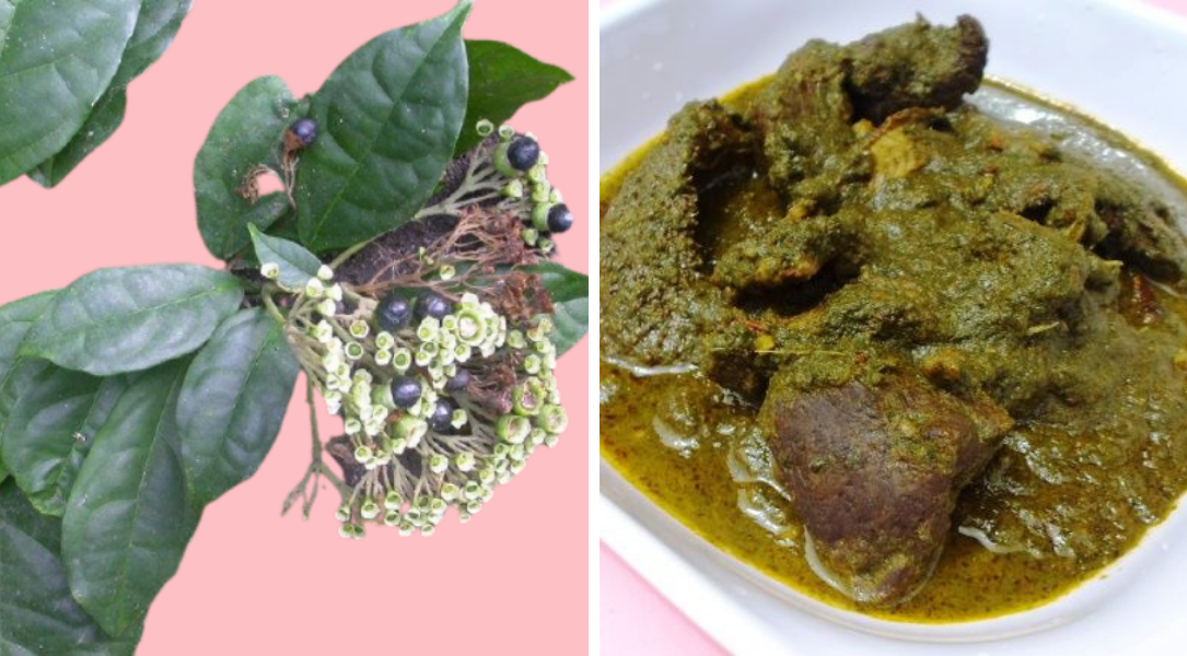 4 Yoruba Vegetables You Probably Don't Know About | Zikoko!