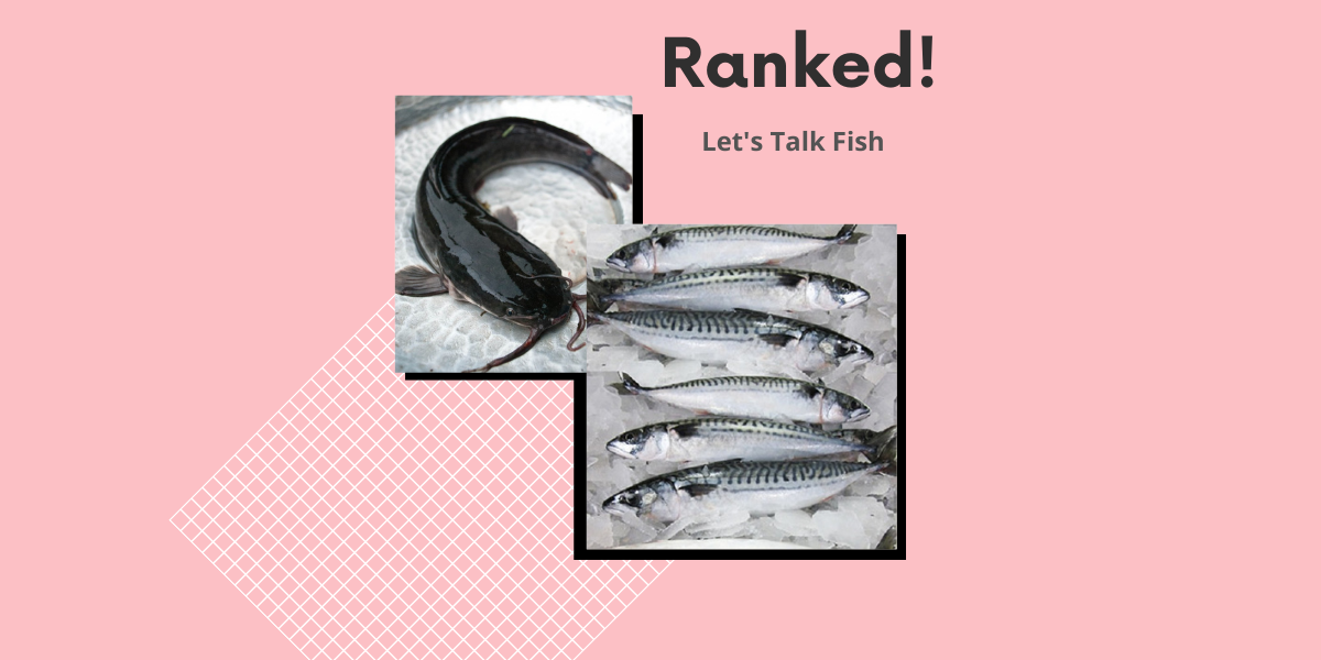 Ranked: What's The Best Fish Ever? | Zikoko!