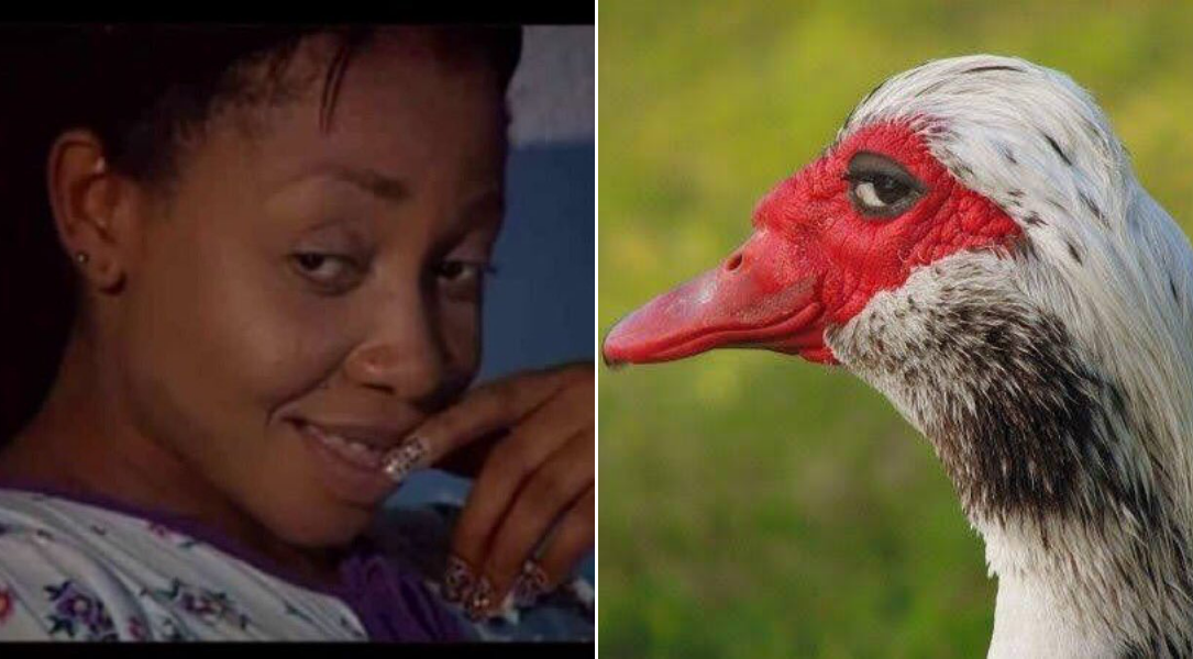 9 Games Night Ideas You Need To Try Out ASAP | Zikoko!