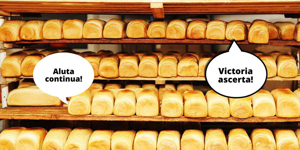 Nigeria's Bread Strike, Explained | Zikoko!