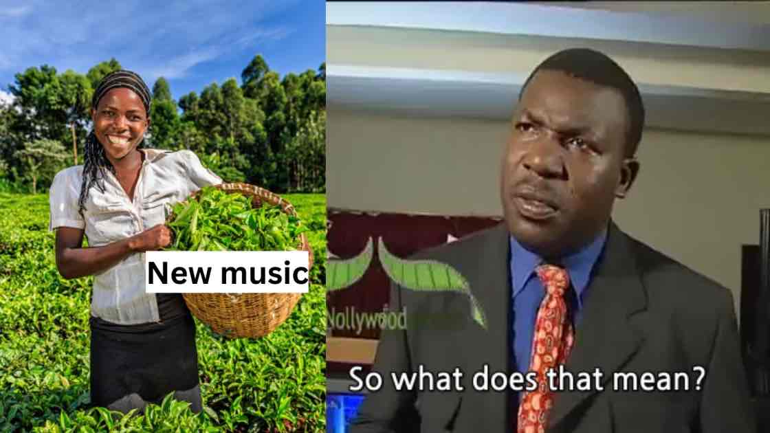 Streaming Farms: How Our Fave Artists and Labels Might Be Scamming Us