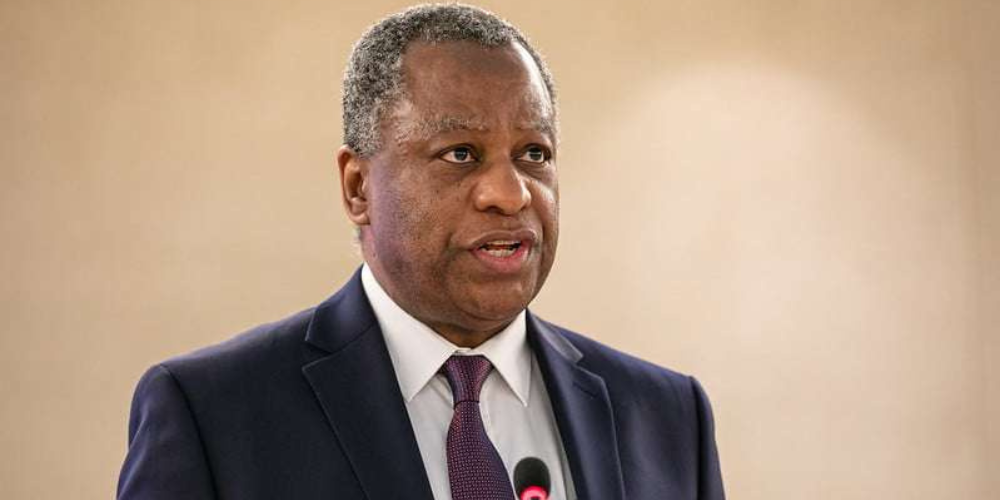 What Are the Functions of Nigeria's Minister of Foreign Affairs