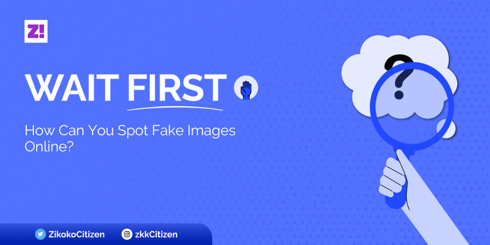 Wait First: How Can You Spot Fake Images Online? | Zikoko!
