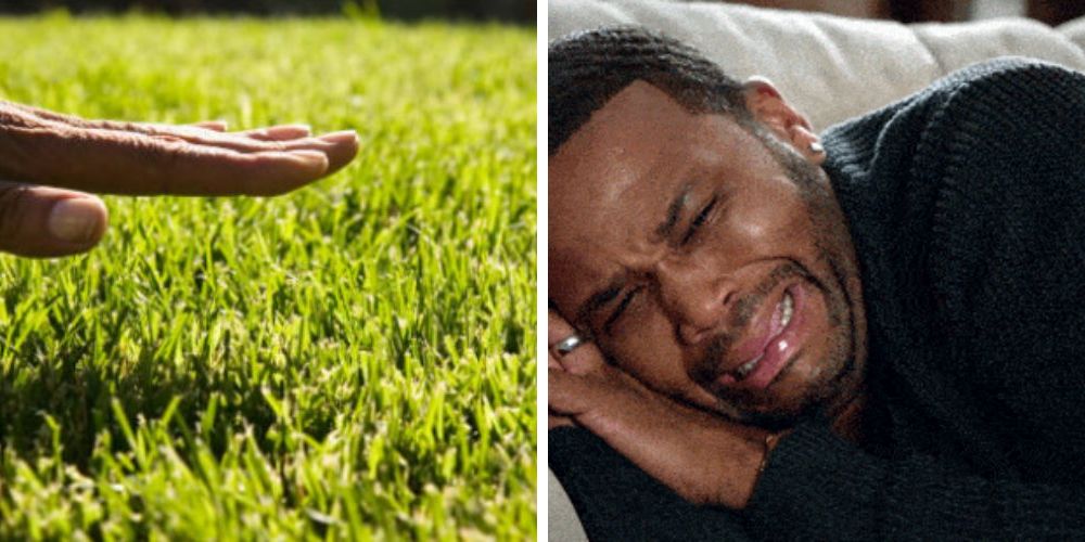 Why You Need to Go Outside and Touch Grass