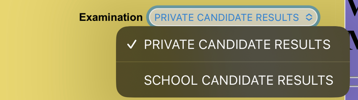 How to Check Your WAEC or GCE Result Online | Zikoko!