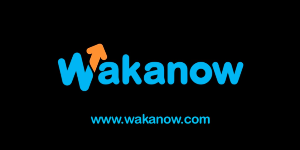 Experience the World With Wakanow in 2024
