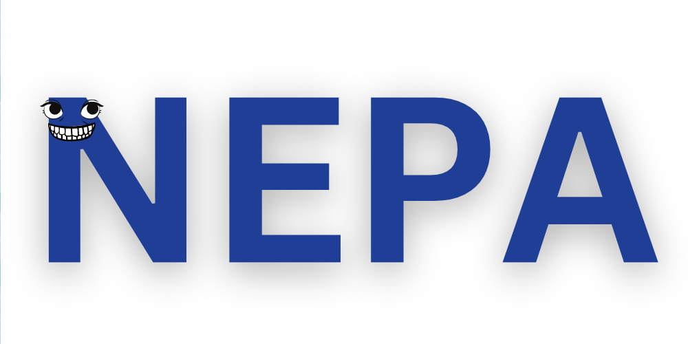 Interview With NEPA: “The National Grid Is Resting. You Should Too ...
