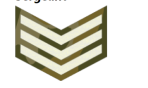 What Are the Ranks in the Nigerian Army? | Zikoko!