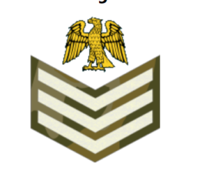 What Are the Ranks in the Nigerian Army? | Zikoko!