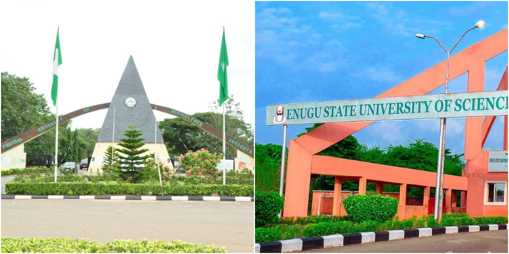 We Ranked The Main Gate of 13 Nigerian Universities | Zikoko!
