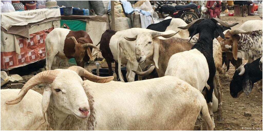 What’s It Like Marking Sallah Without a Ram? — We Asked These Muslims ...