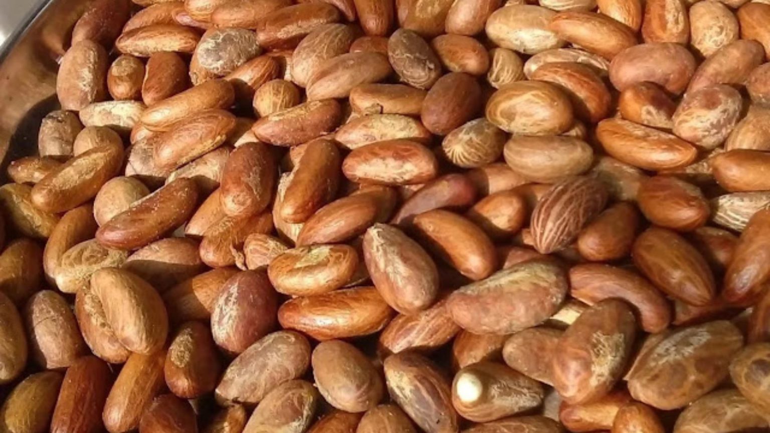 Benefits of Bitter Kola: 12 Reasons to Add It to Your Diet