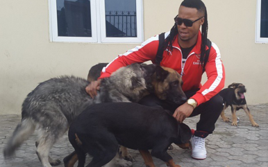 12 Pictures You'll Understand If You've Ever Visited A Nigerian With A ...